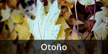 Poema al nostálgico otoño - Por JFV